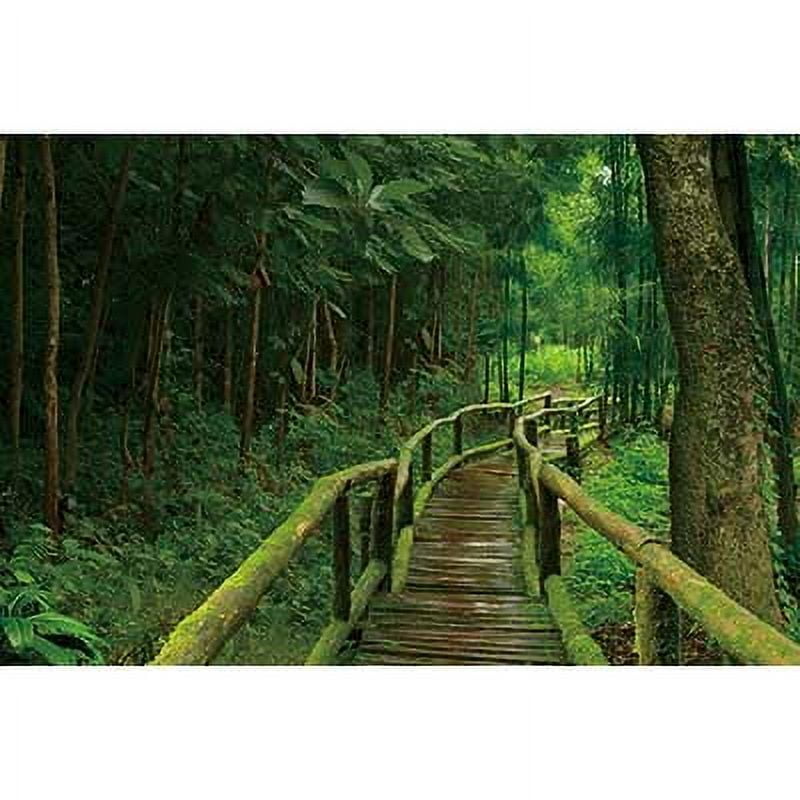 Spring Gre Forest Tree Grass Leaves Backdrop Tropical Rainforest ...