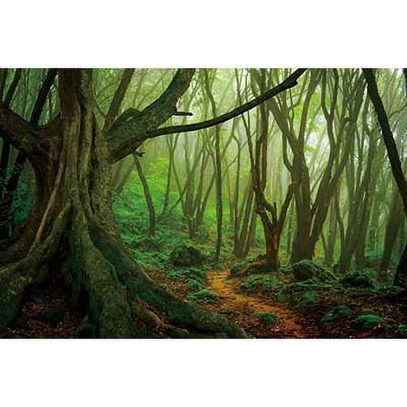 Spring Gre Forest Tree Grass Leaves Backdrop Tropical Rainforest ...