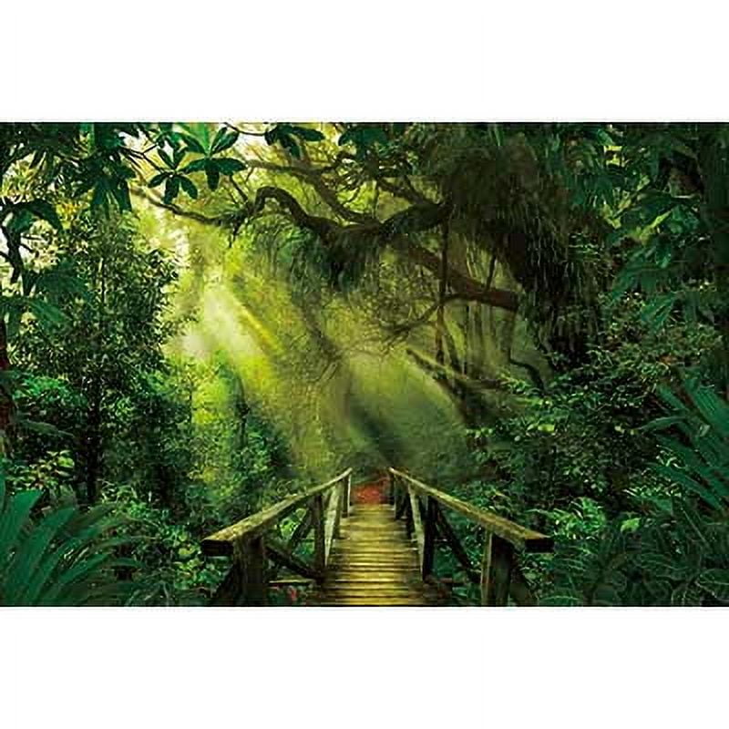 Spring Gre Forest Tree Grass Leaves Backdrop Tropical Rainforest ...