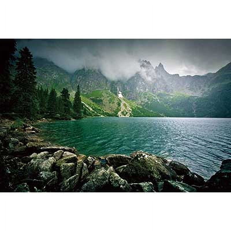 Spring Gre Forest Tree Grass Leaves Backdrop Tropical Rainforest ...