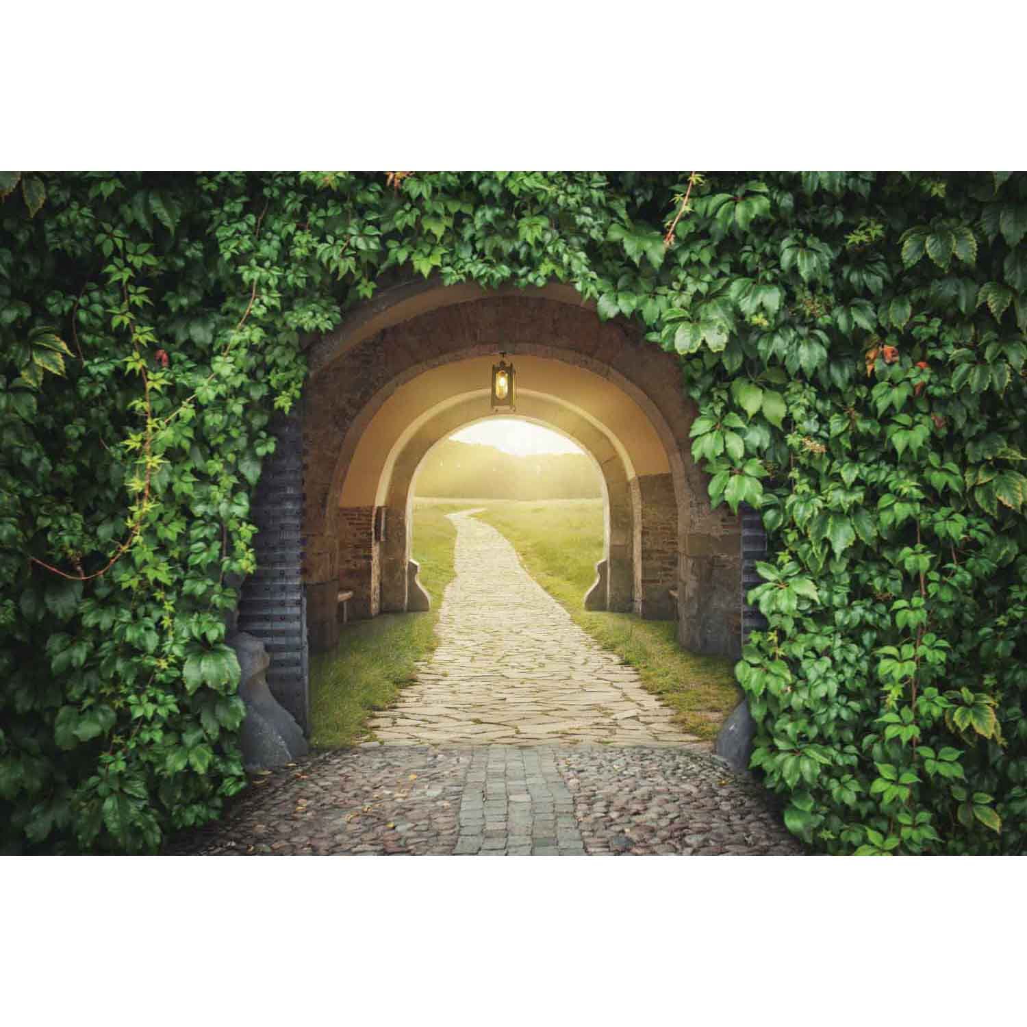 Spring Gre Grass Backdrop Photography Brick Wood Fce Arch Wall Gard ...