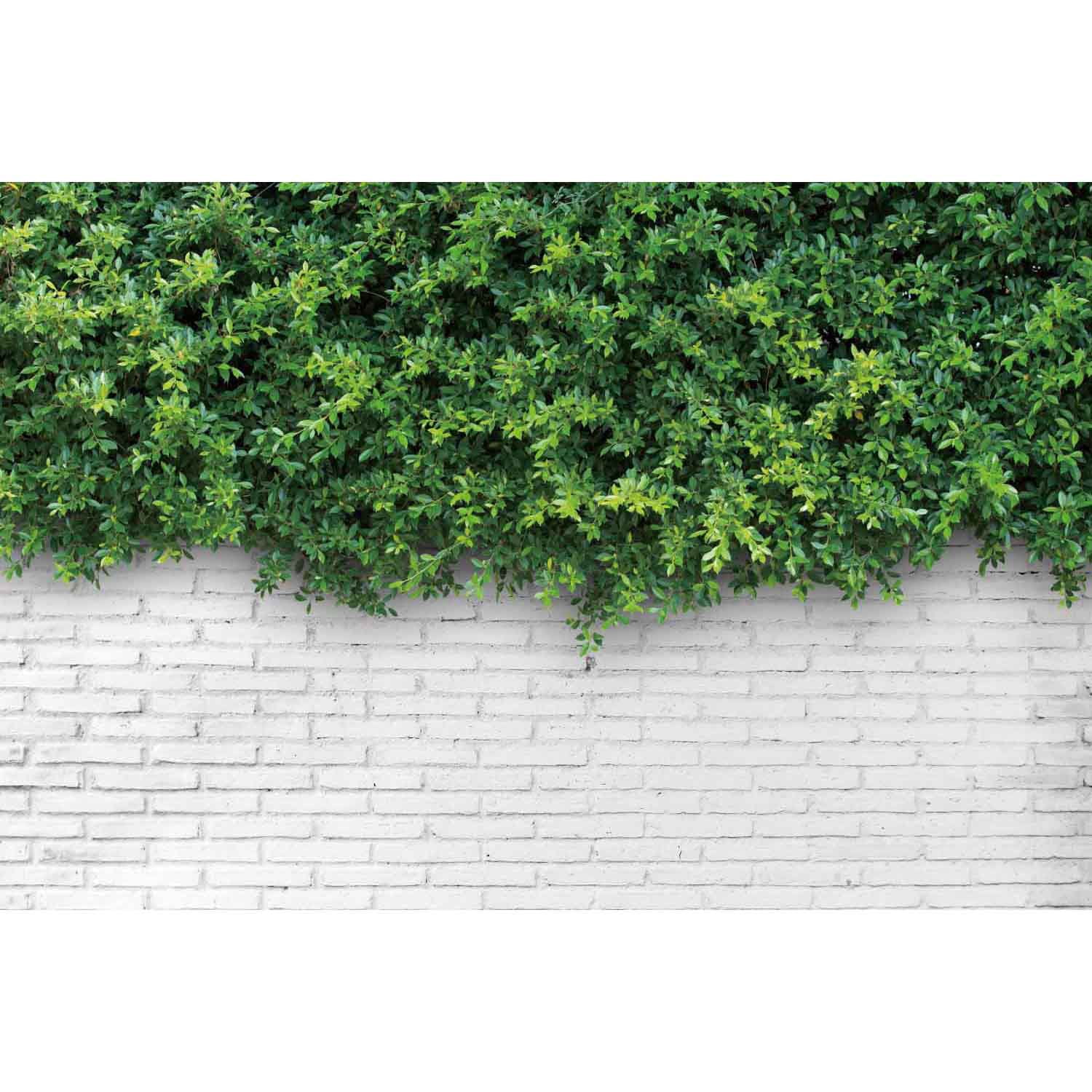 Spring Gre Grass Backdrop Photography Brick Wood Fce Arch Wall Gard ...