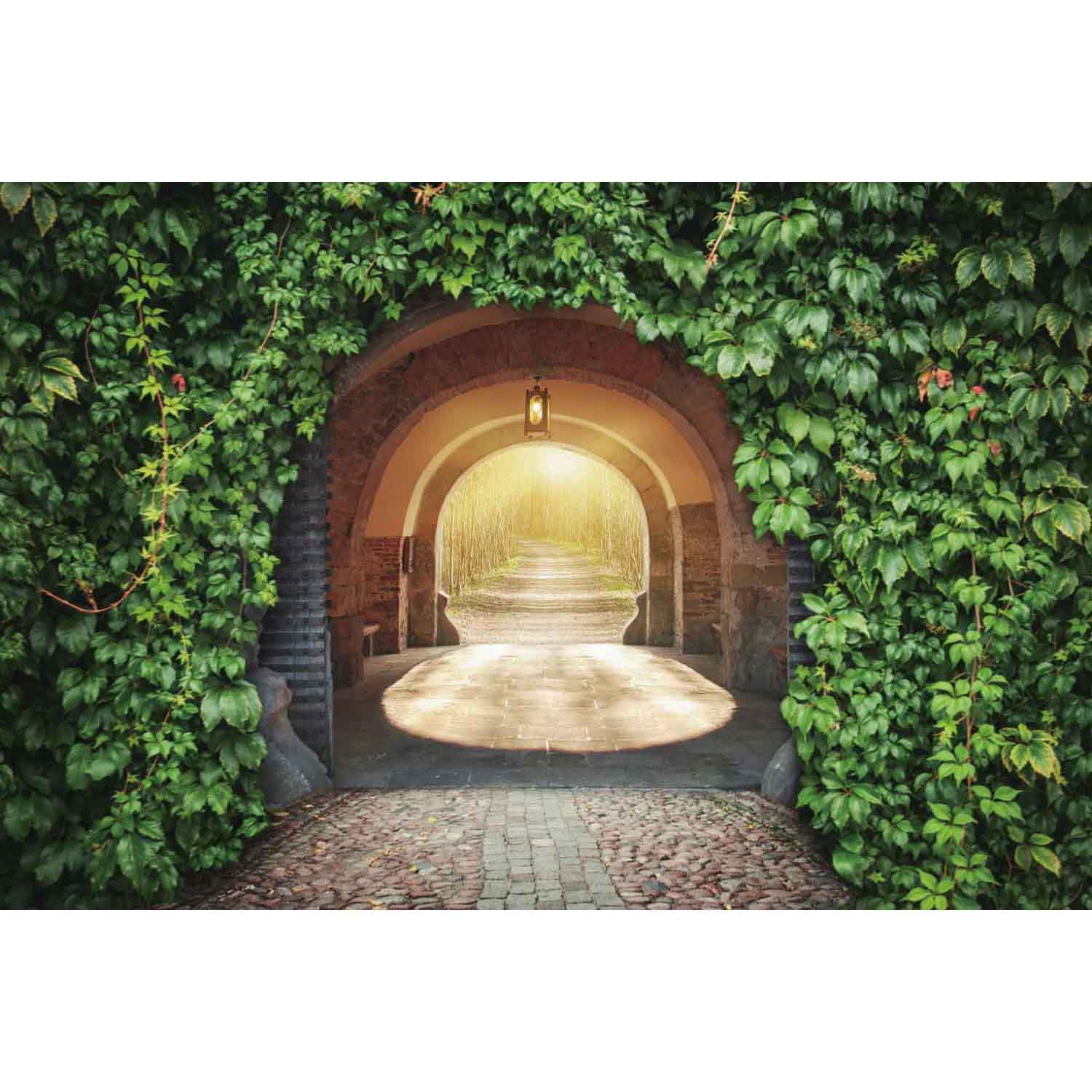 Spring Gre Grass Backdrop Photography Brick Wood Fce Arch Wall Gard ...