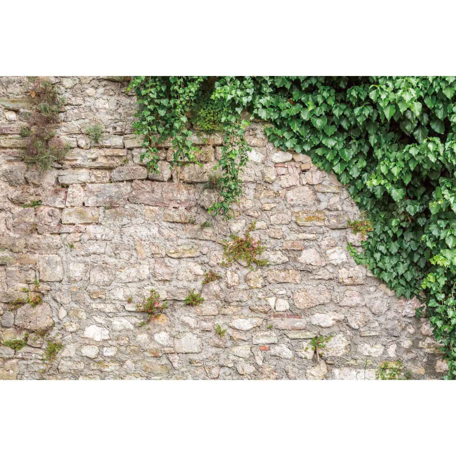 Spring Gre Grass Backdrop Photography Brick Wood Fce Arch Wall Gard ...