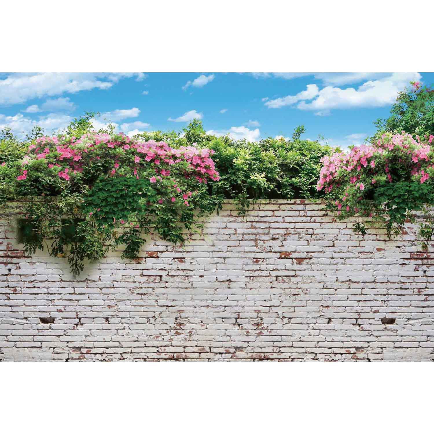 Spring Gre Grass Backdrop Photography Brick Wood Fce Arch Wall Gard ...