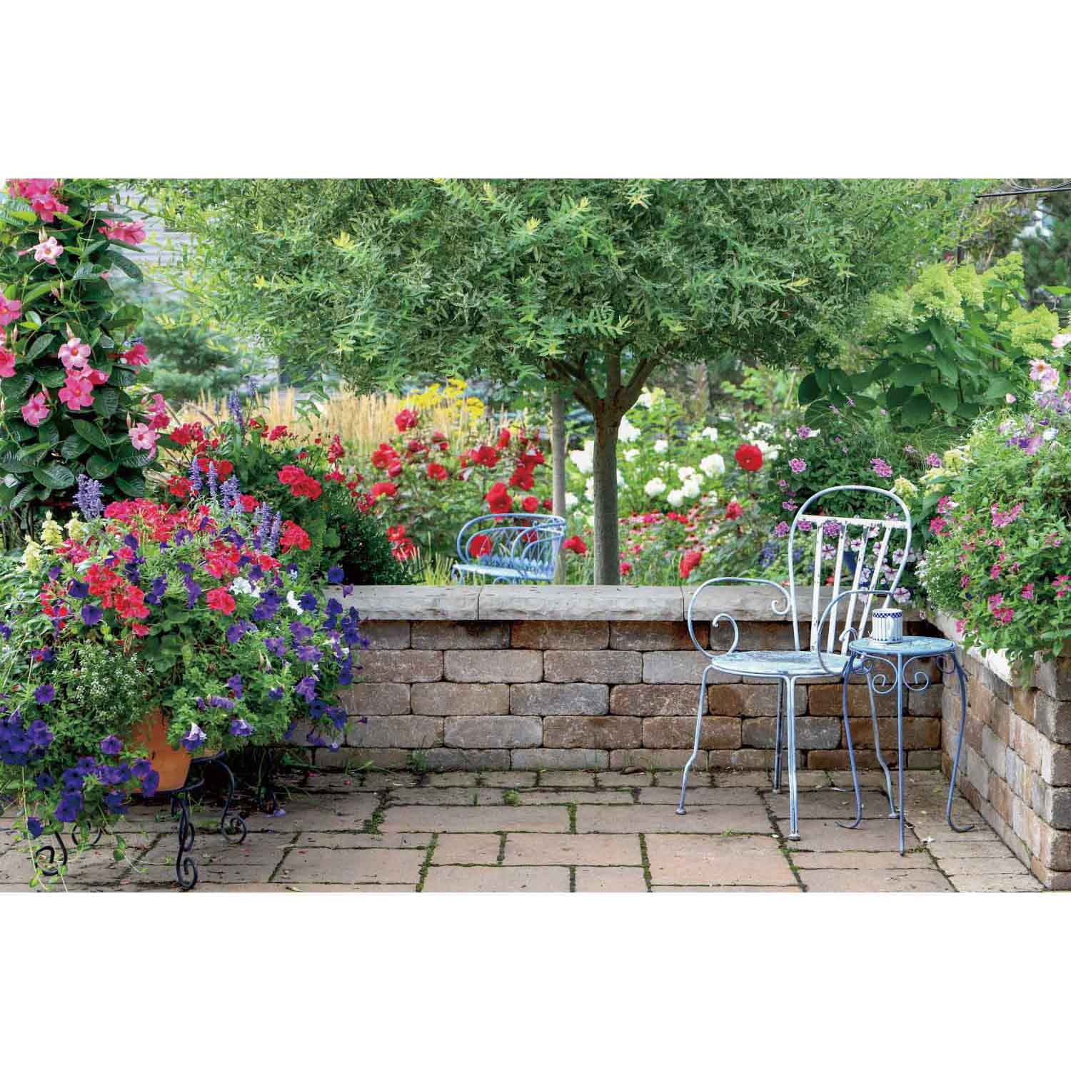 Spring Gre Grass Backdrop Photography Brick Wood Fce Arch Wall Gard ...