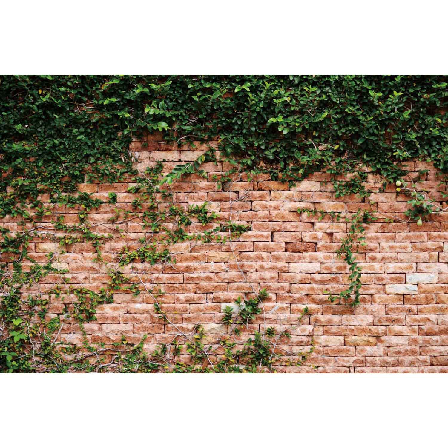 Spring Gre Grass Backdrop Photography Brick Wood Fce Arch Wall Gard ...