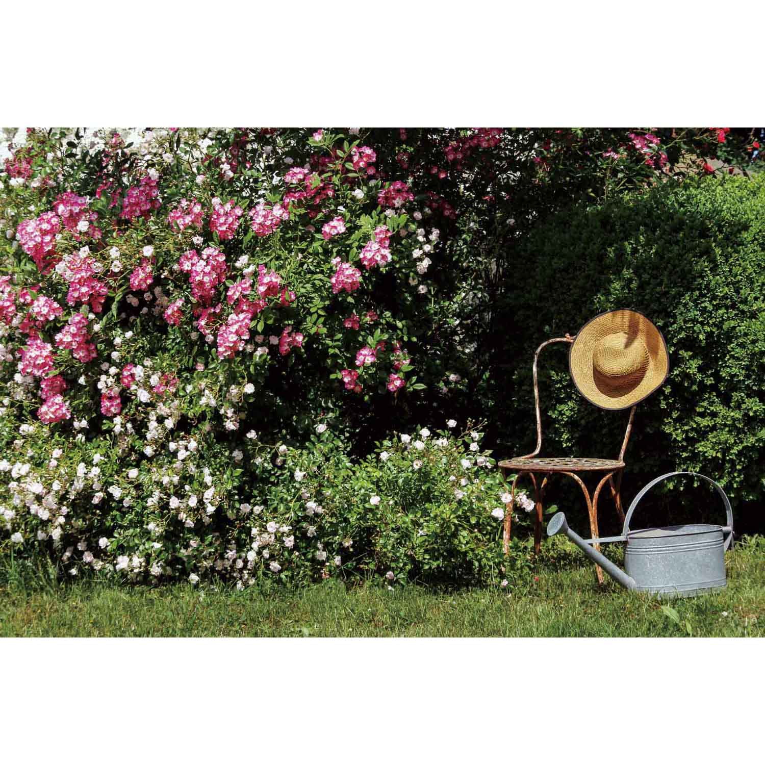 Spring Gre Grass Backdrop Photography Brick Wood Fce Arch Wall Gard ...