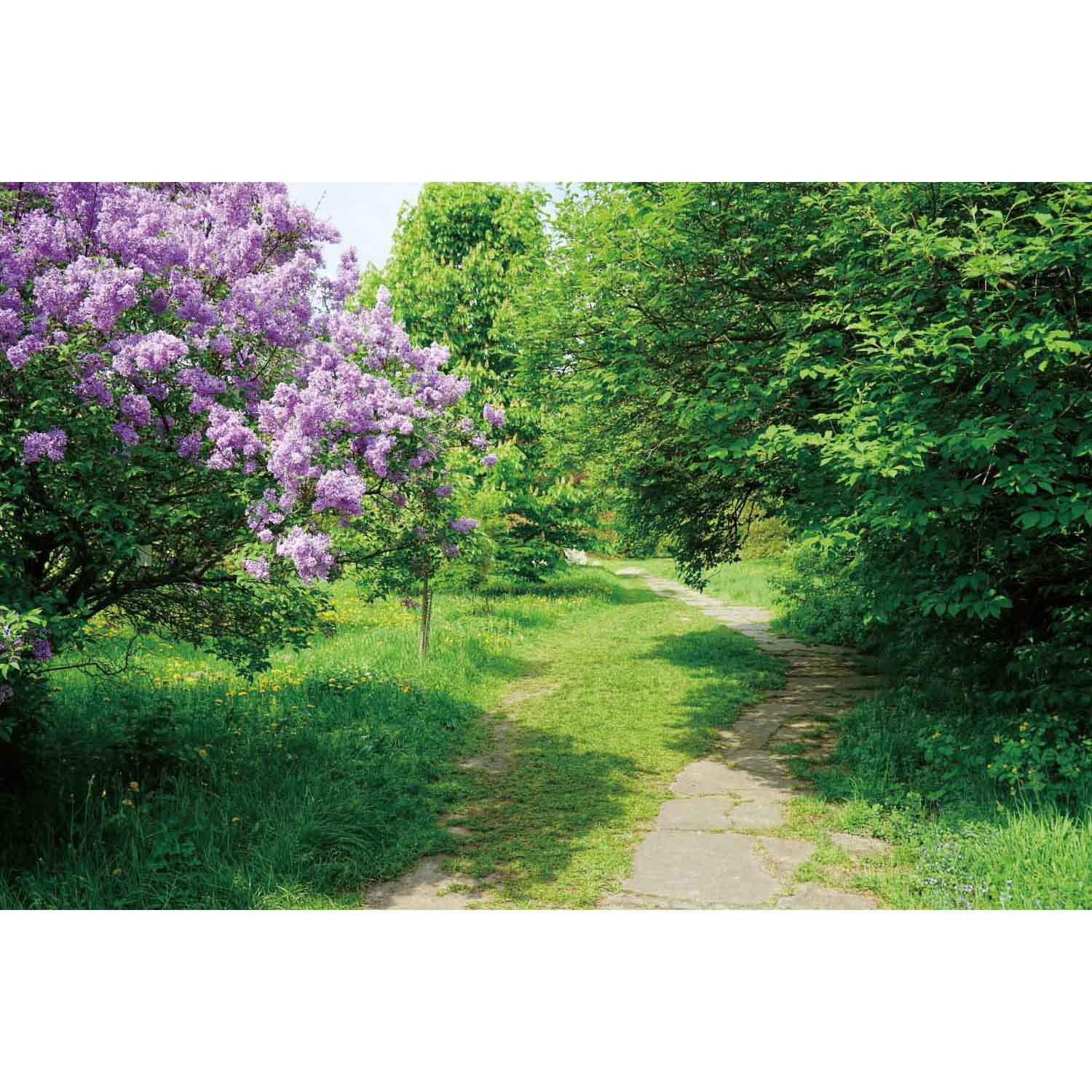 Spring Gre Grass Backdrop Photography Brick Wood Fce Arch Wall Gard ...