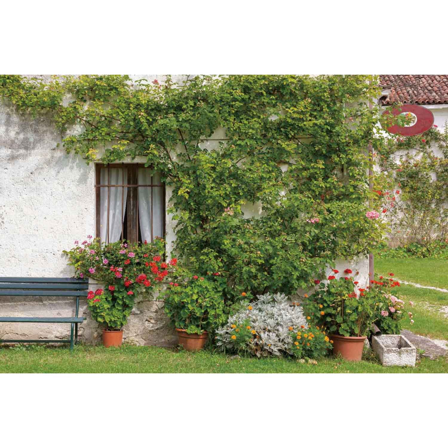 Spring Gre Grass Backdrop Photography Brick Wood Fce Arch Wall Gard ...