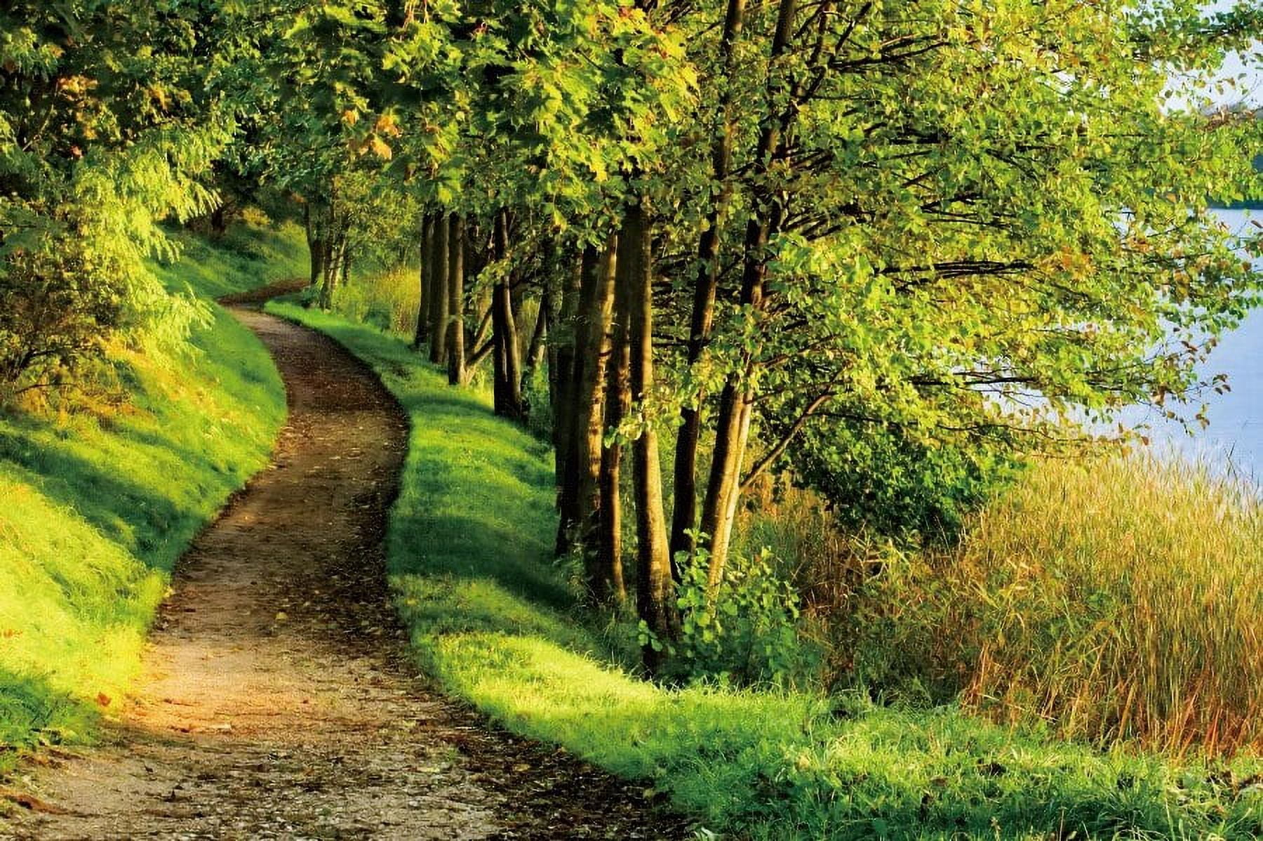 Spring Green Forest Photo Backdrop Jungle Woods Rainforest Natural ...