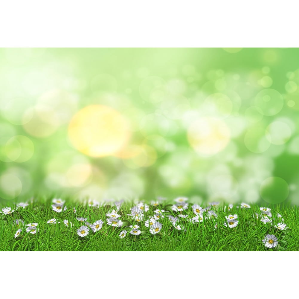 Spring Green Grass Scene Backdrop for Photography Flower Tree Blue Sky ...