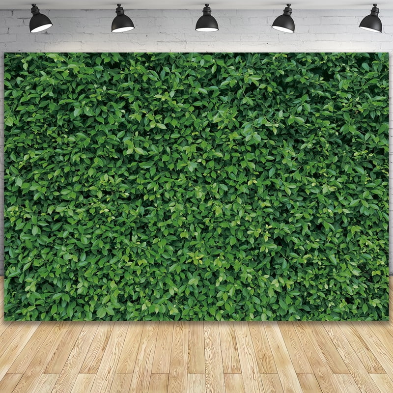 Spring Greenery Leaves Grass Nature Photography Backdrop Green Grass ...