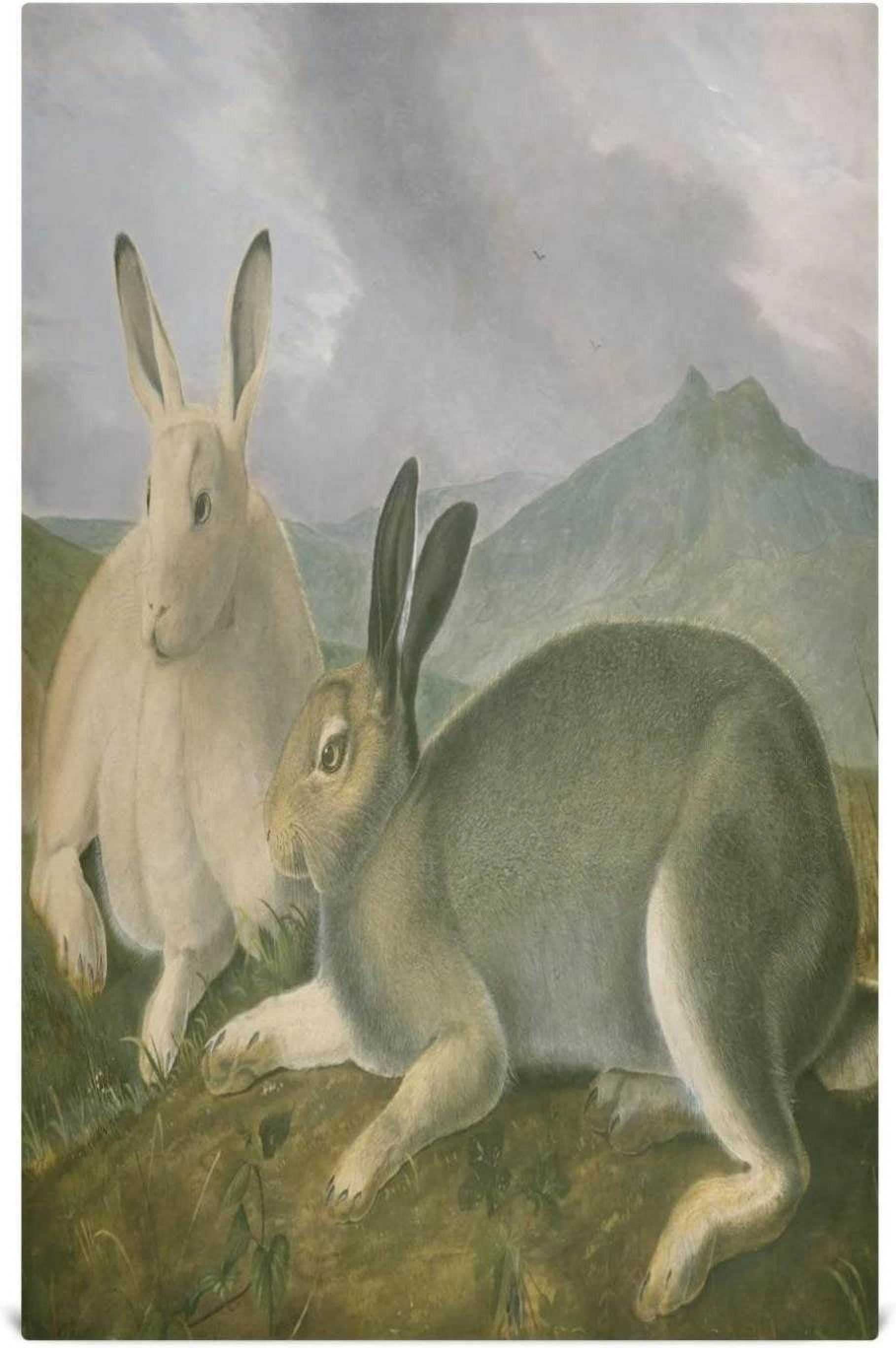 Spring Hare Bunny Kitchen Tea Towels Set of 1 Absorbent Hand Dish ...