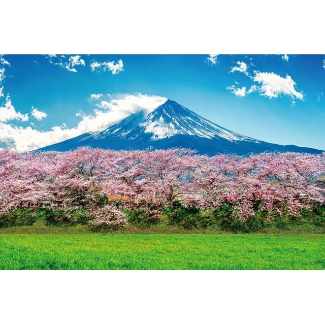 Spring Japanese Scenic Mount Fuji Photography Background Blooming ...