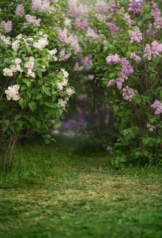 Spring Jungle Forest Trees Backdrop Pink Cherry Blossoms Green ...