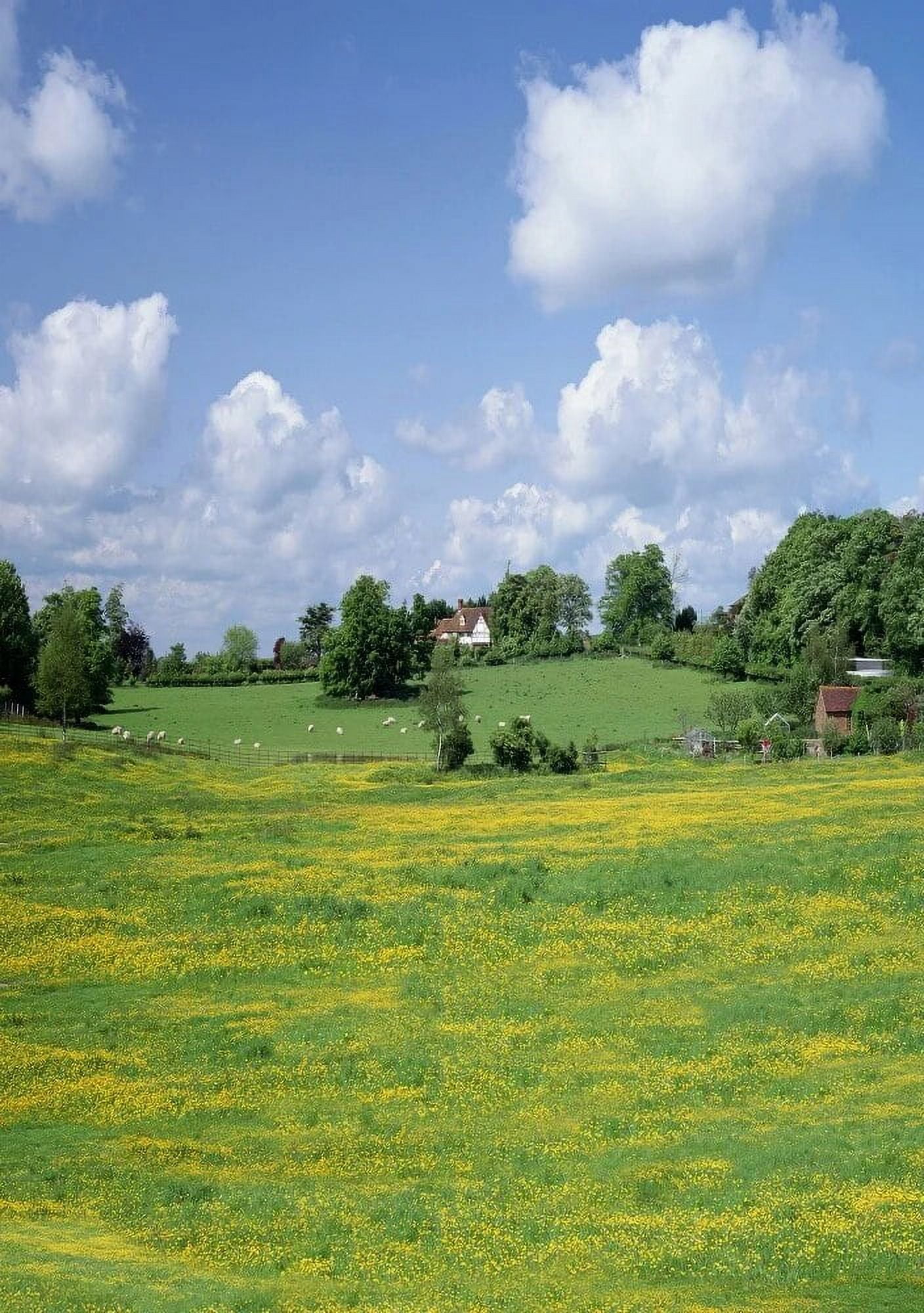 Spring Jungle Forest Trees Backdrop Pink Cherry Blossoms Green ...