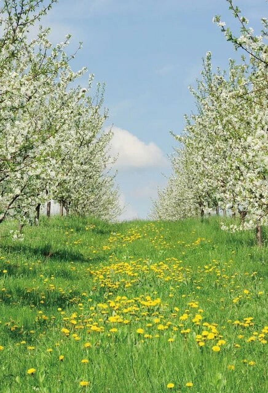 Spring Jungle Forest Trees Backdrop Pink Cherry Blossoms Green ...
