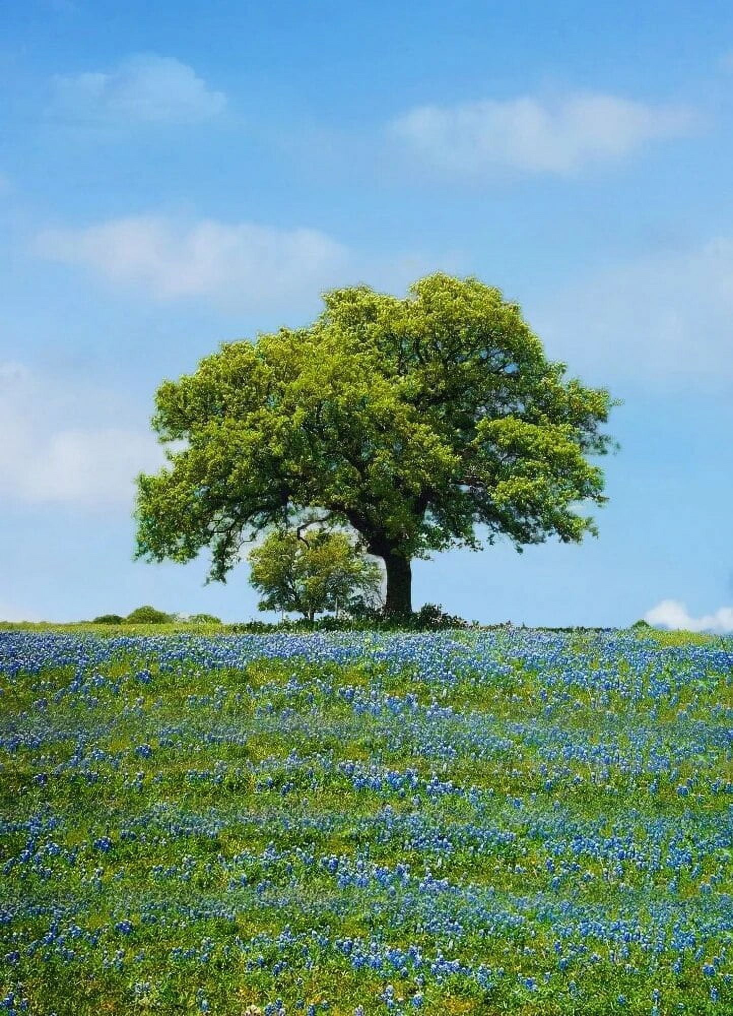 Spring Jungle Forest Trees Backdrop Pink Cherry Blossoms Green ...