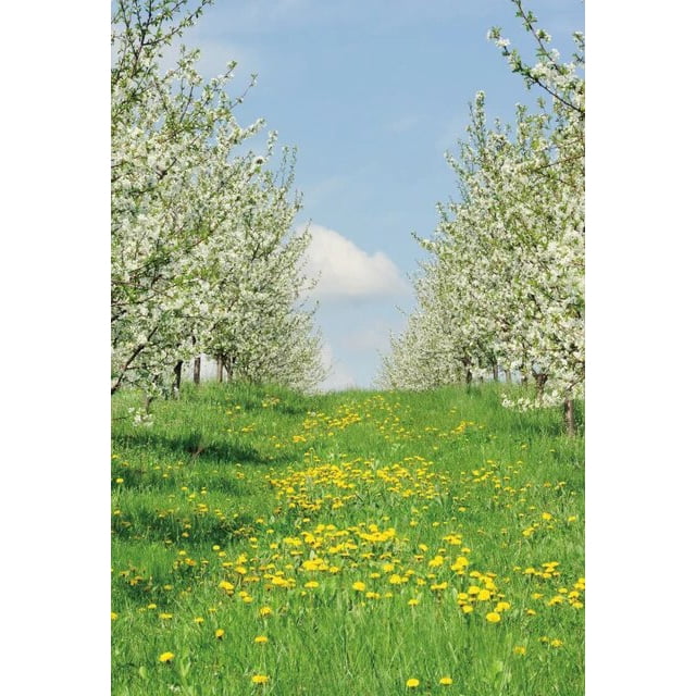 Spring Jungle Forest Trees Backdrop Pink Cherry Blossoms Green ...