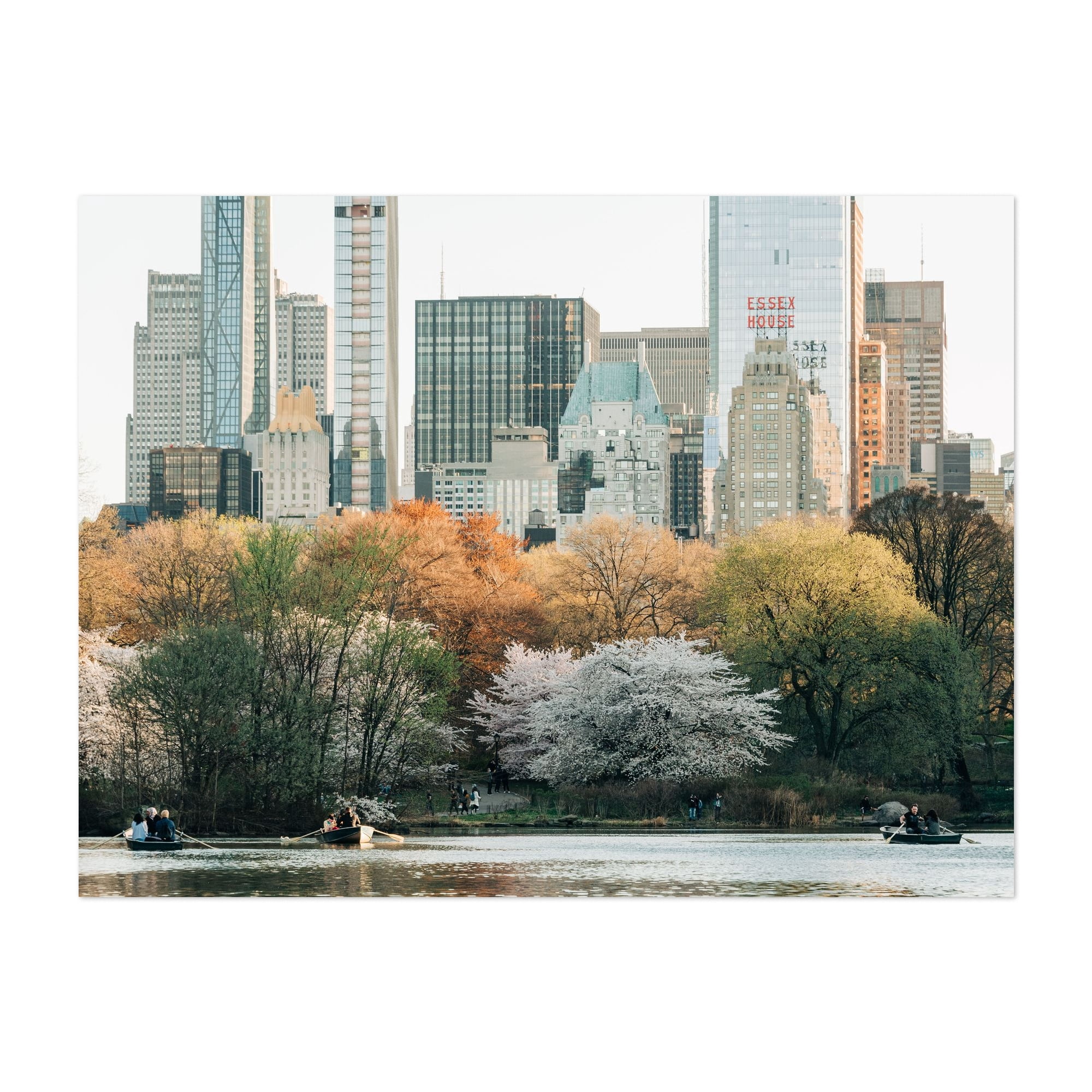 Spring at The Lake, Central Park 02 - Manhattan New York Photography ...