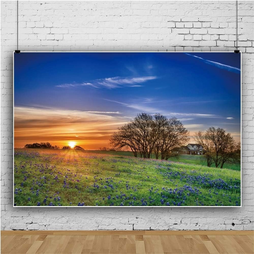 Spring Landscape Backdrop Bluebonnet Wildflower Spring Field at Sunrise ...