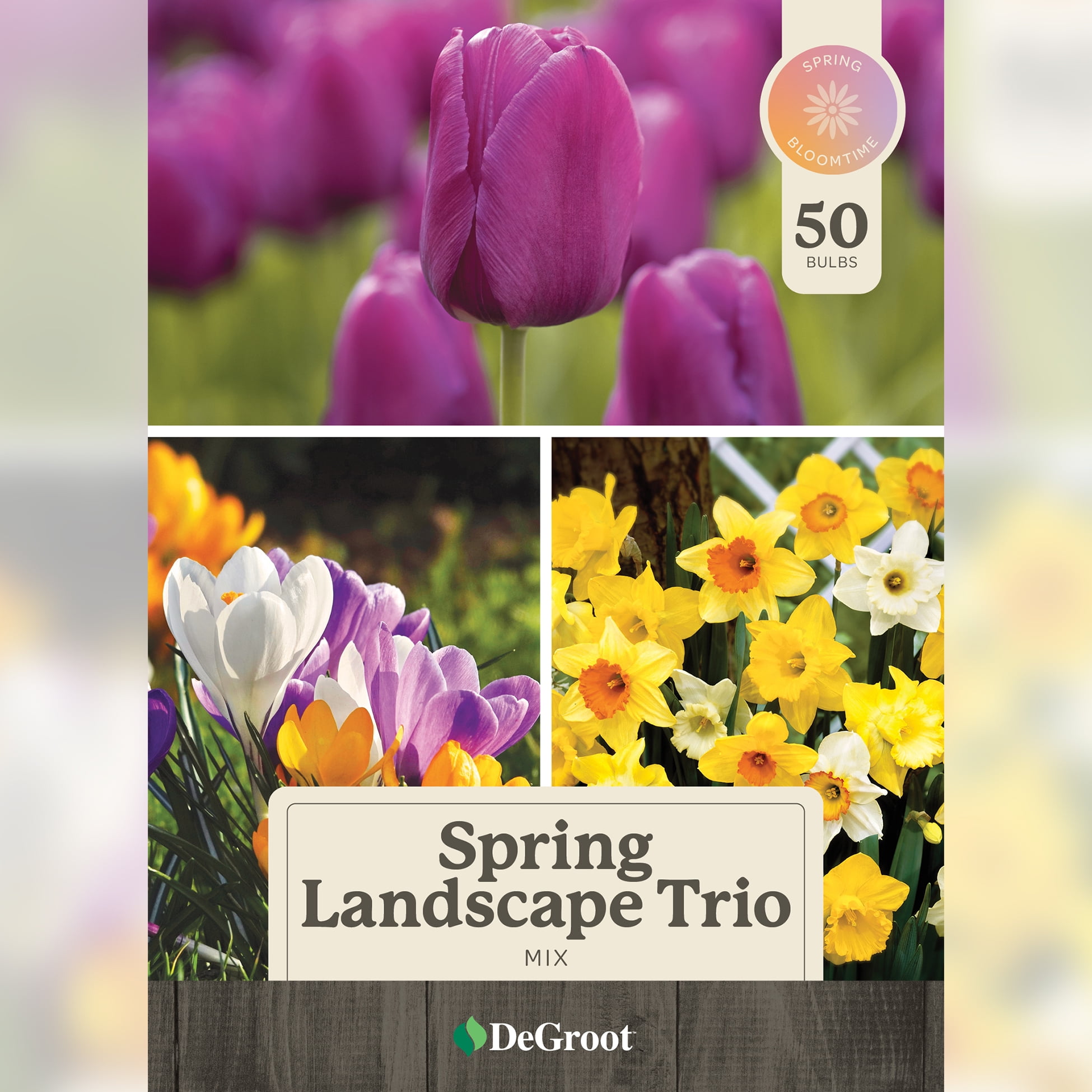 DeGroot Spring Landscape Bulb Trio, 50 Flower Bulbs, Crocus Daffodil ...