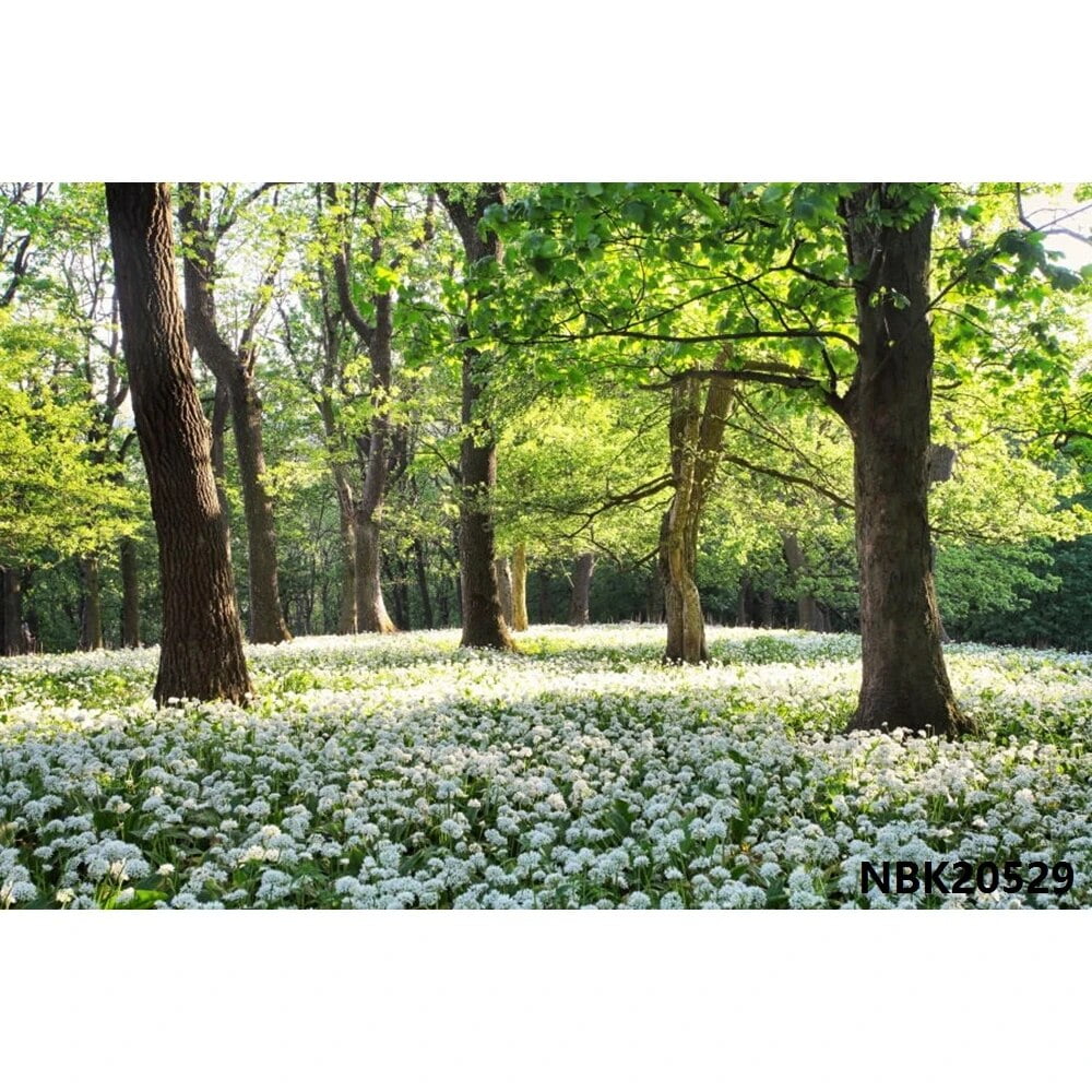 Spring Landscape Mountain Sky Clouds Flowers Waterfall Nature Scenery ...