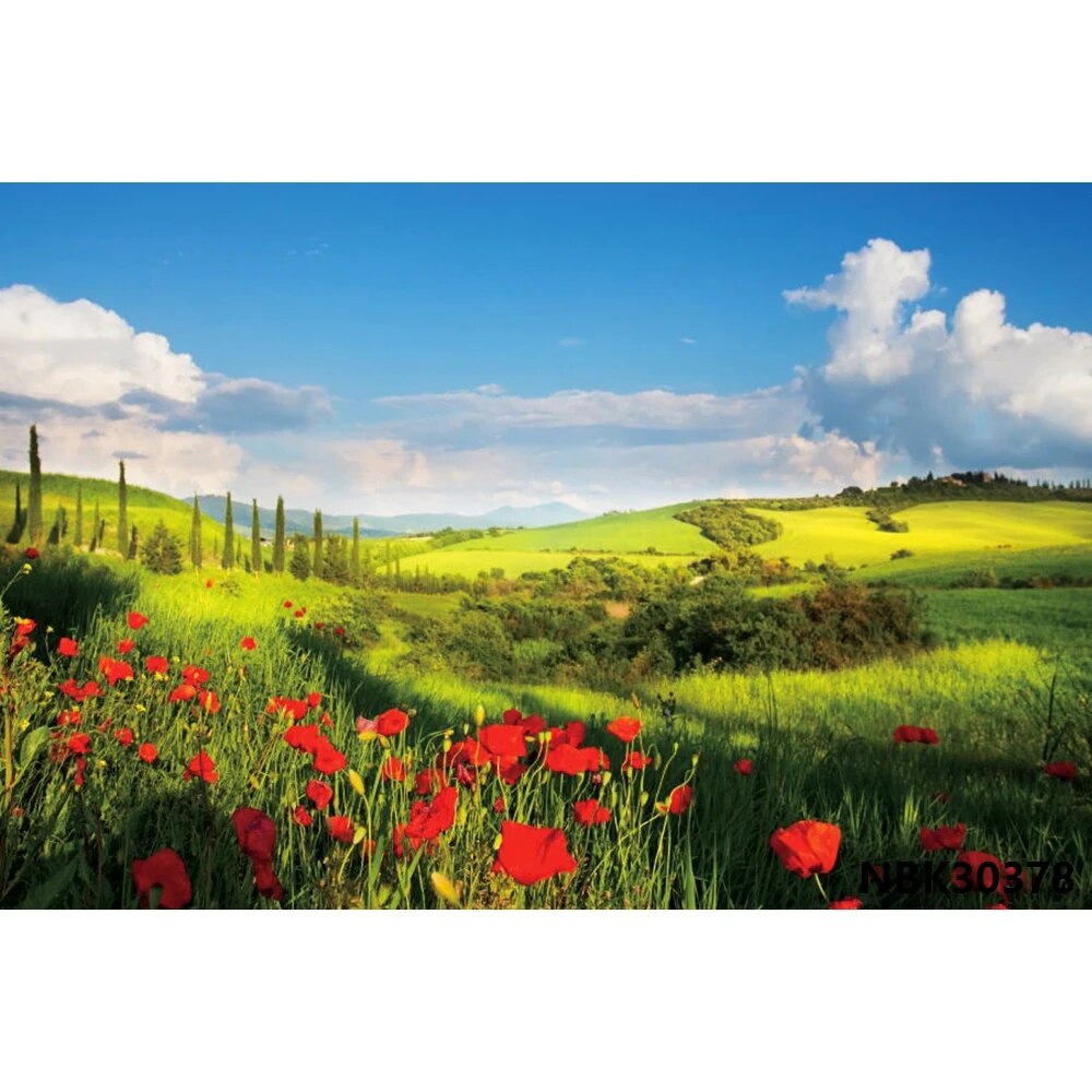 Spring Landscape Mountain Sky Clouds Flowers Waterfall Nature Scenery ...