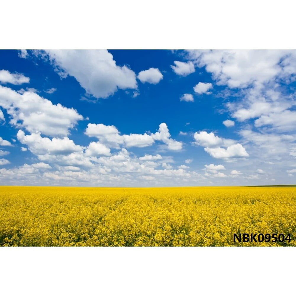 Spring Landscape Mountain Sky Clouds Flowers Waterfall Nature Scenery ...