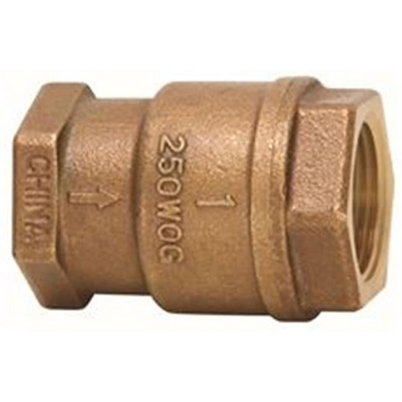 Spring Loaded in Line Check Valve, Brass - 1 in. Fip - Walmart.com