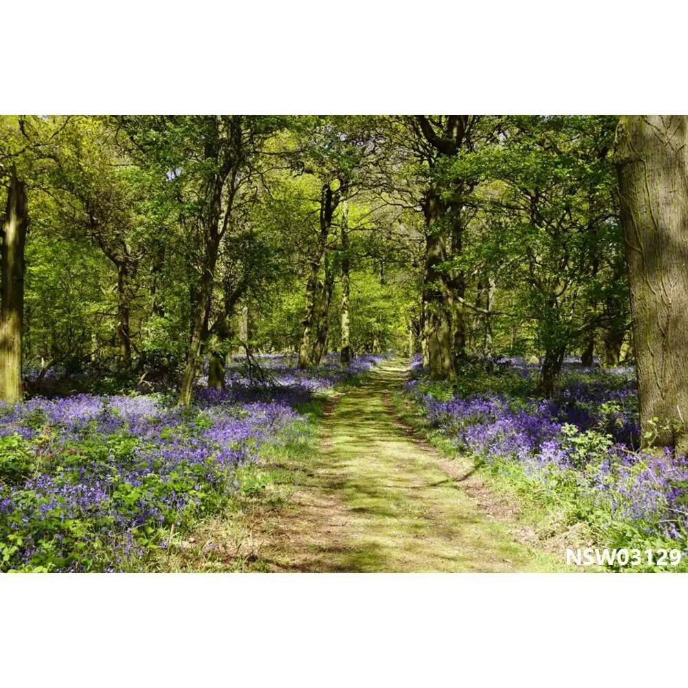 Spring Natural Landscape Backgrounds For Photography Forest Trees ...