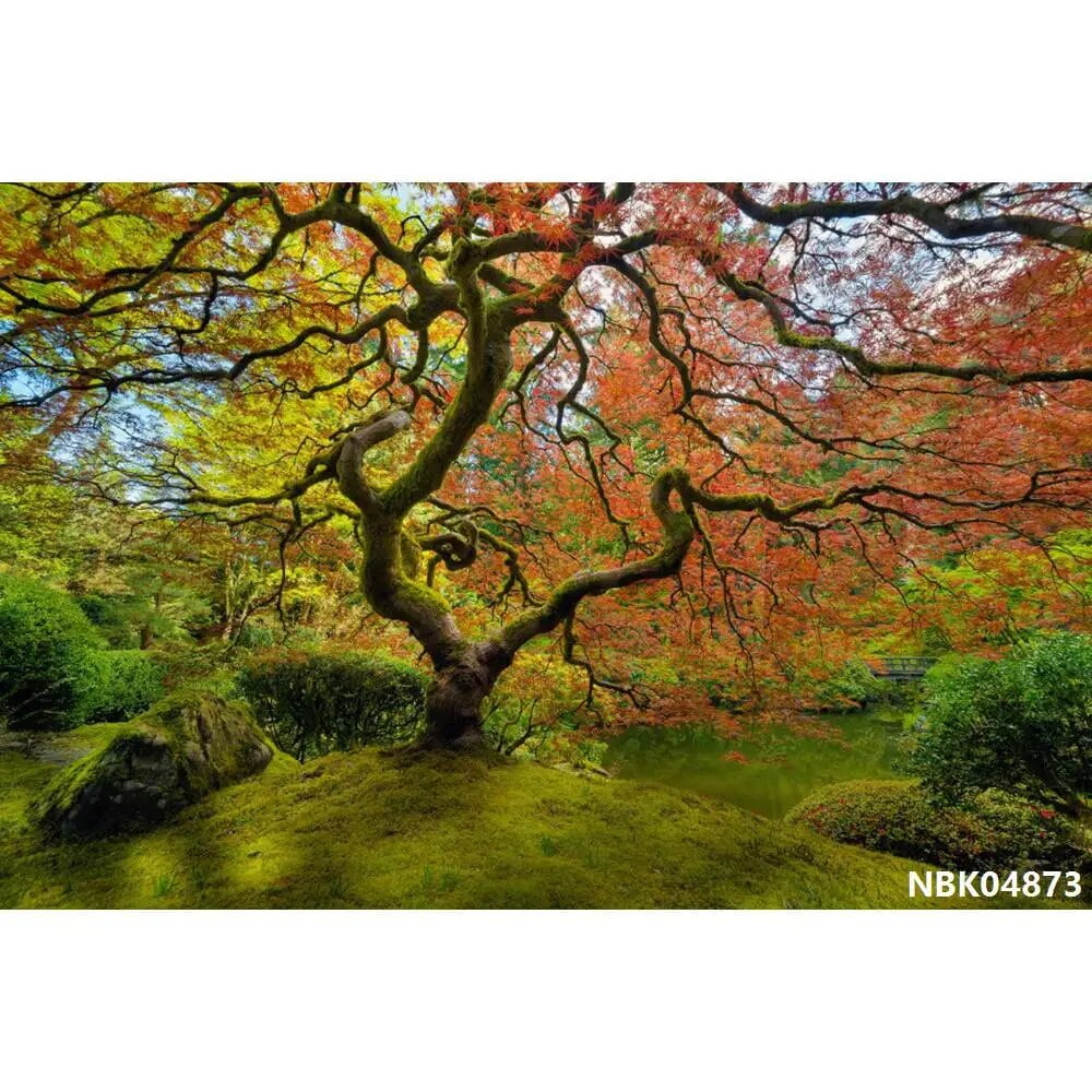 Spring Natural Landscape Backgrounds For Photography Forest Trees ...