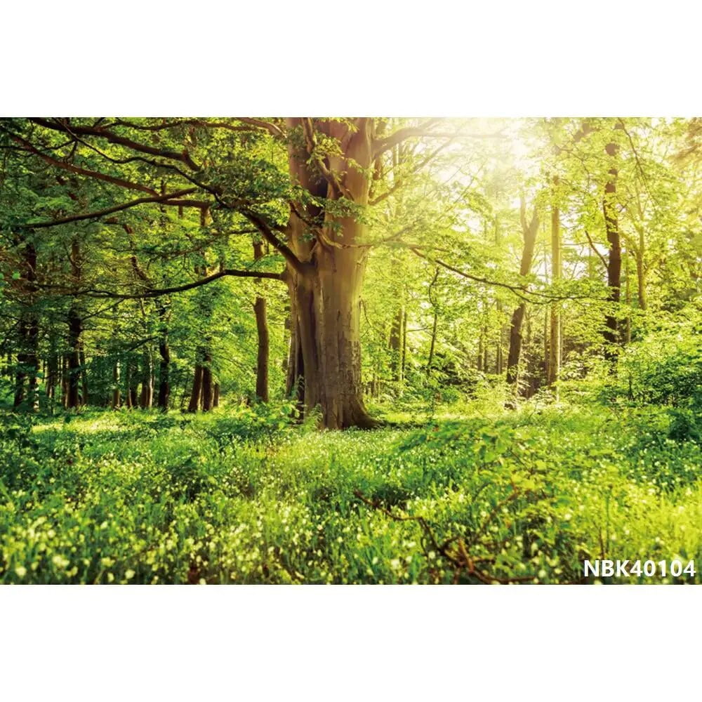 Spring Natural Landscape Backgrounds For Photography Forest Trees ...