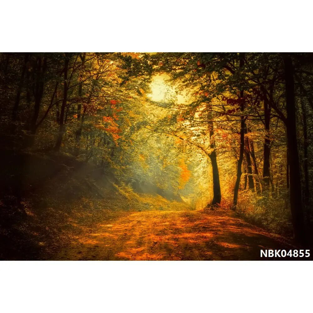 Spring Natural Landscape Backgrounds For Photography Forest Trees ...