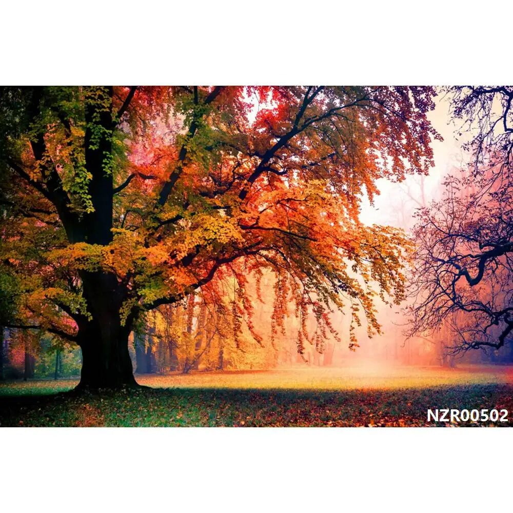 Spring Natural Landscape Backgrounds For Photography Forest Trees ...