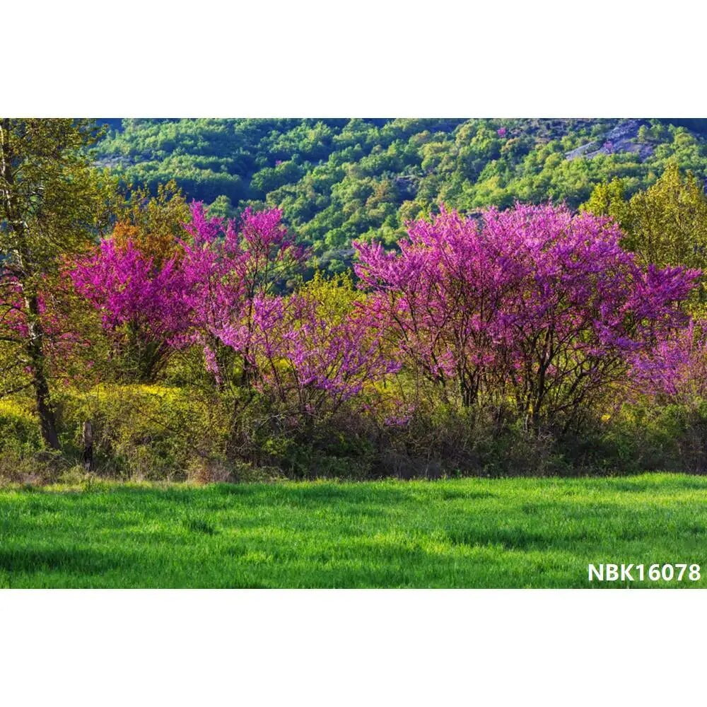 Spring Natural Landscape Backgrounds For Photography Forest Trees ...