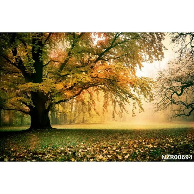 Spring Natural Landscape Backgrounds For Photography Forest Trees ...