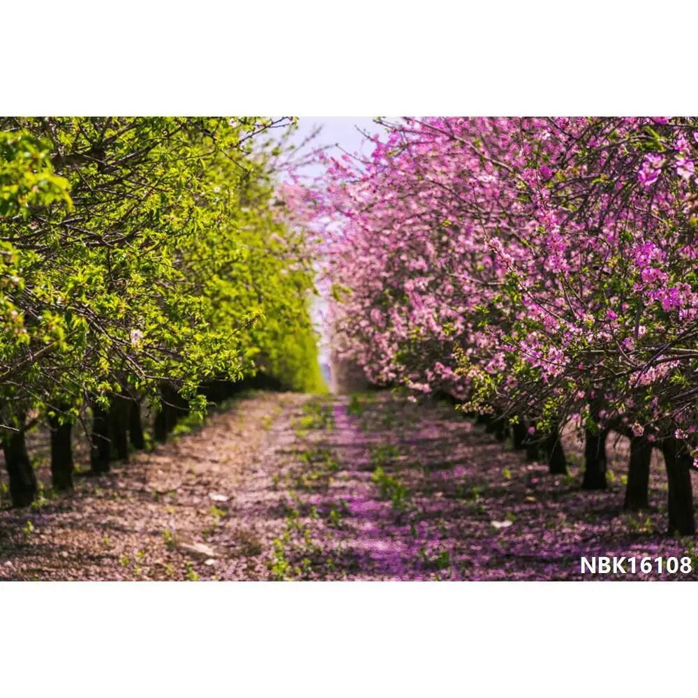 Spring Natural Landscape Backgrounds For Photography Forest Trees ...