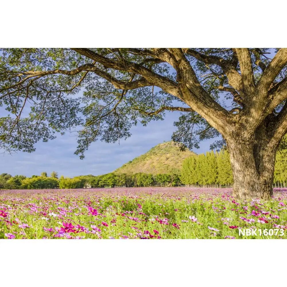 Spring Natural Landscape Backgrounds For Photography Forest Trees ...