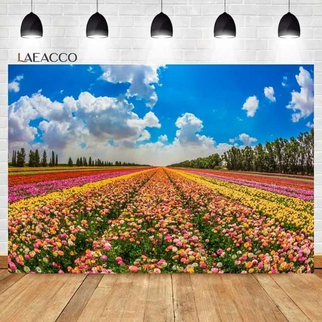 Spring Natural Scenery Backdrop Mountains Trees Green Grass Jungle ...