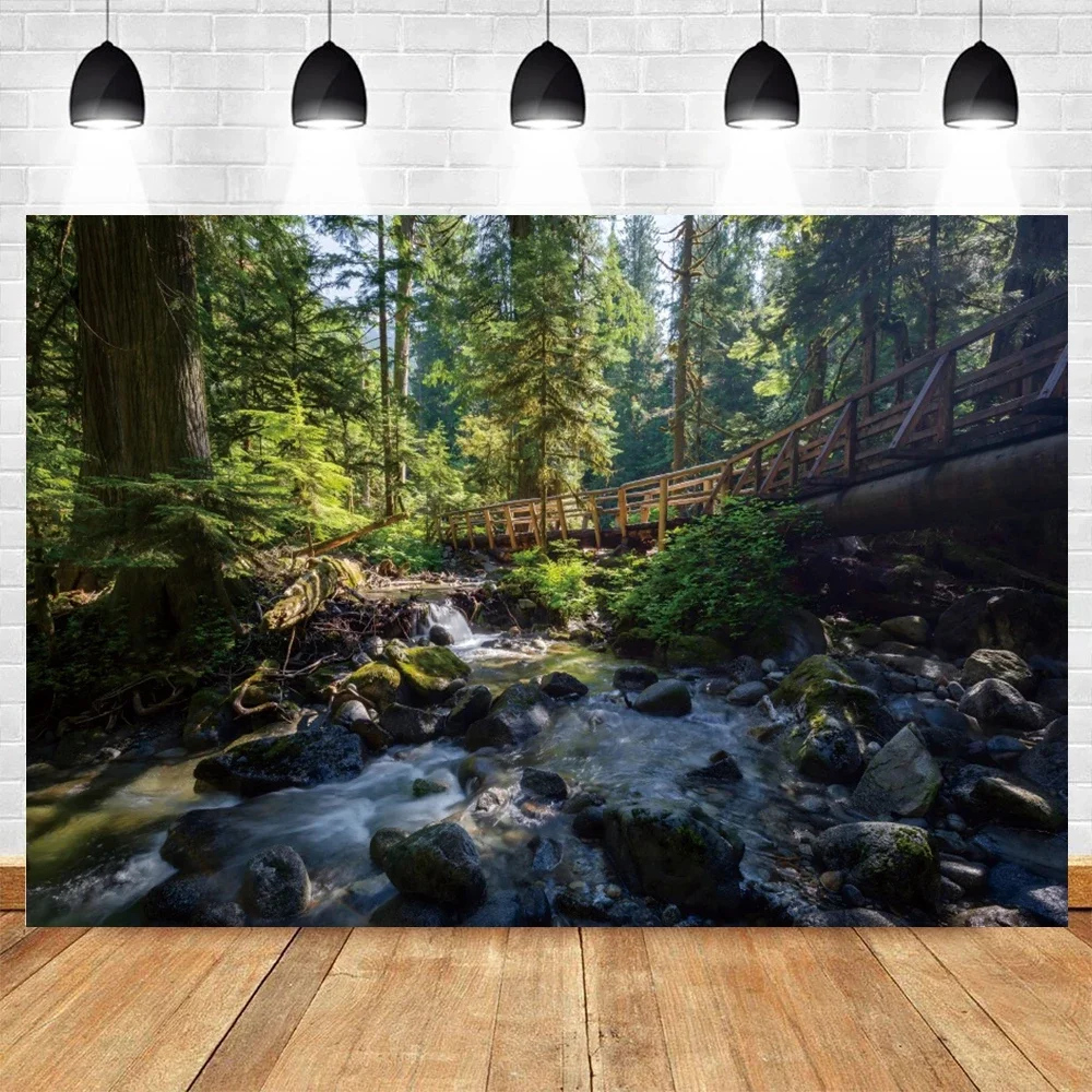 Spring Natural Scenery Backdrop for Photography Waterfall Mountain ...