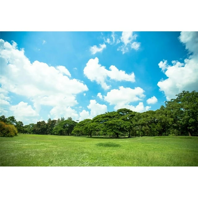 Spring Nature Landscape Photo Studio Backdrop Outdoor Camping Prop ...