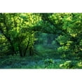 Spring Nature Landscape Photo Studio Backdrop Outdoor Camping Prop ...