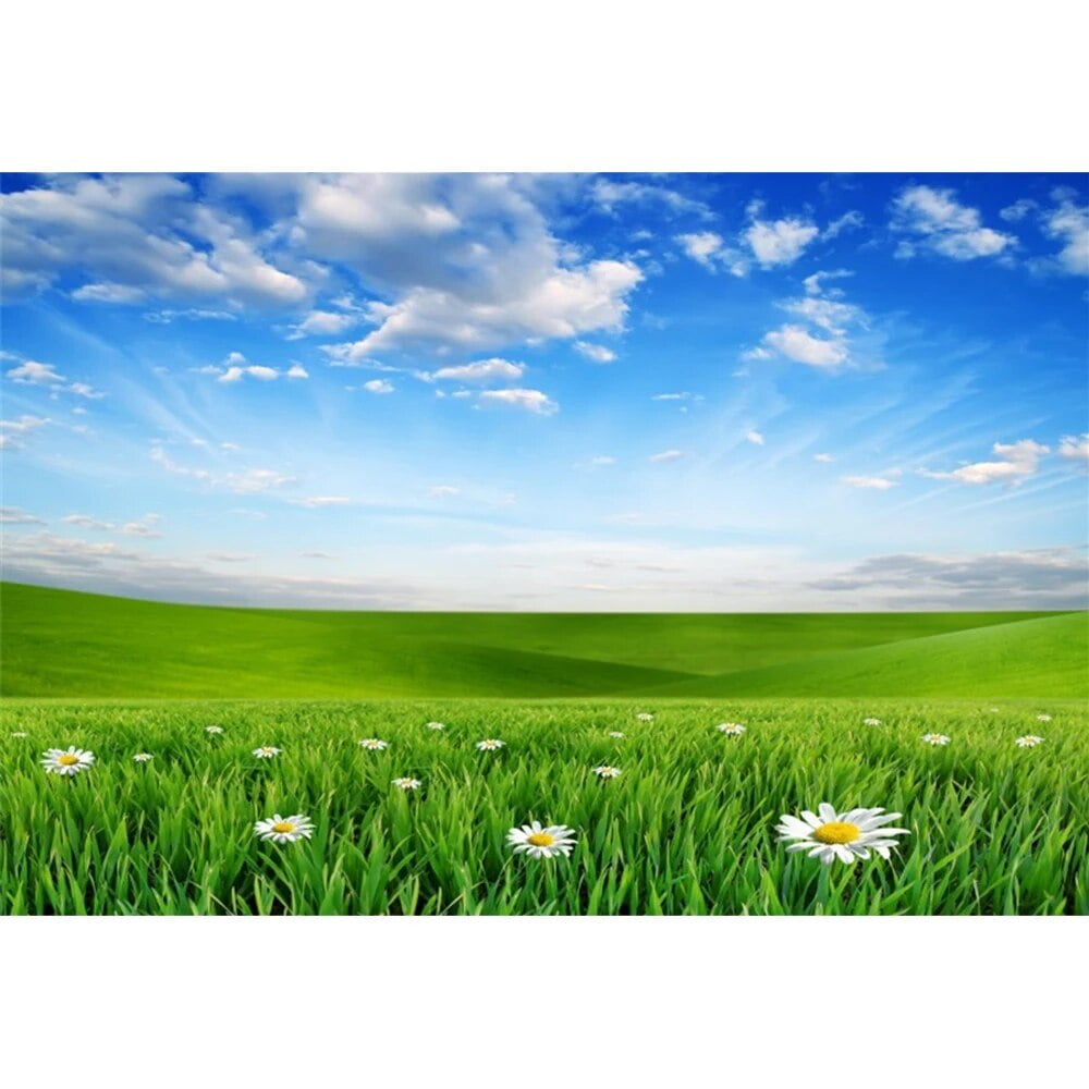 Spring Nature Landscape Photo Studio Backdrop Outdoor Camping Prop ...