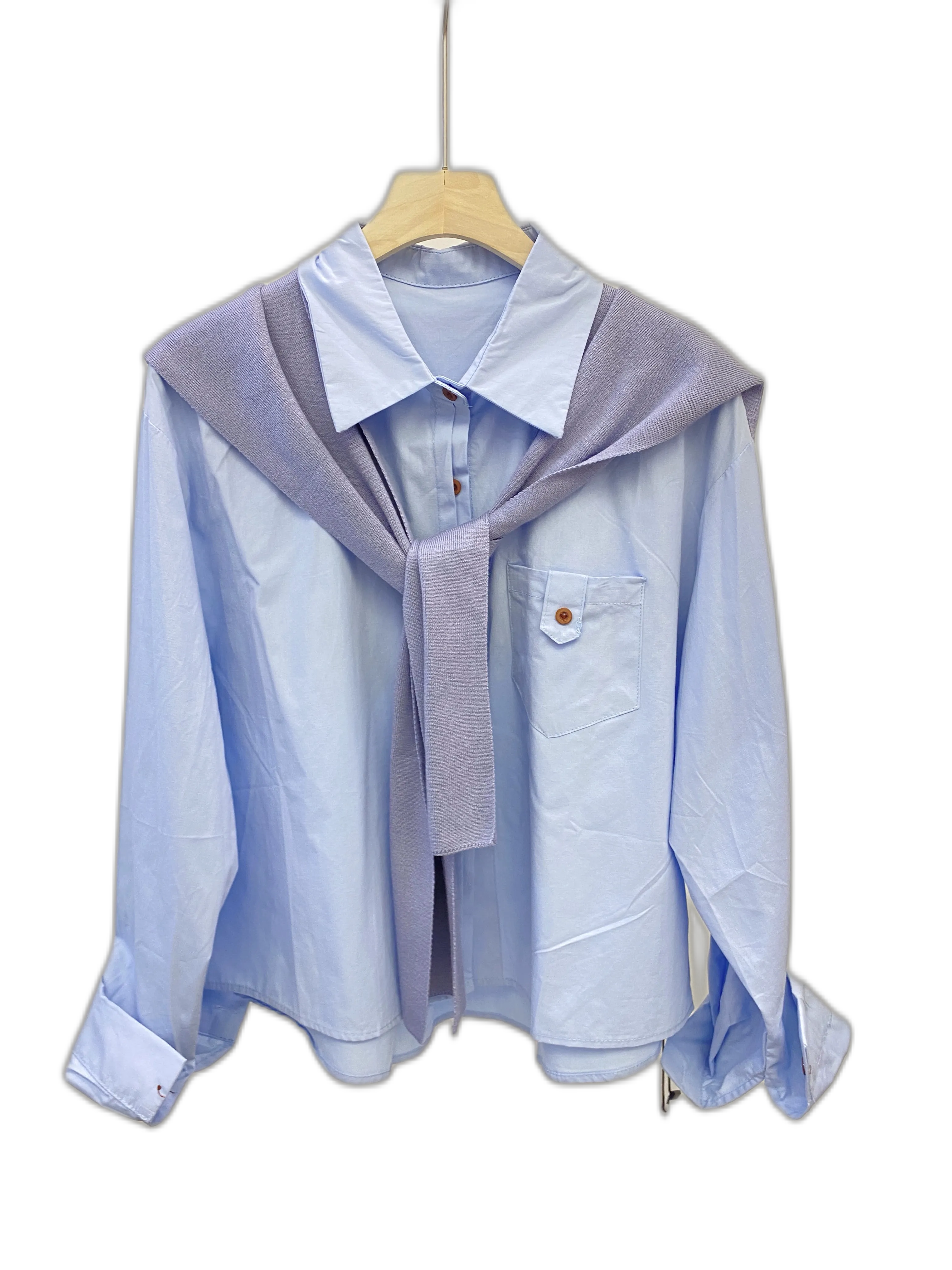 Spring New Retro Solid Color Cotton Light Blue Shirt Female Poio Collar ...