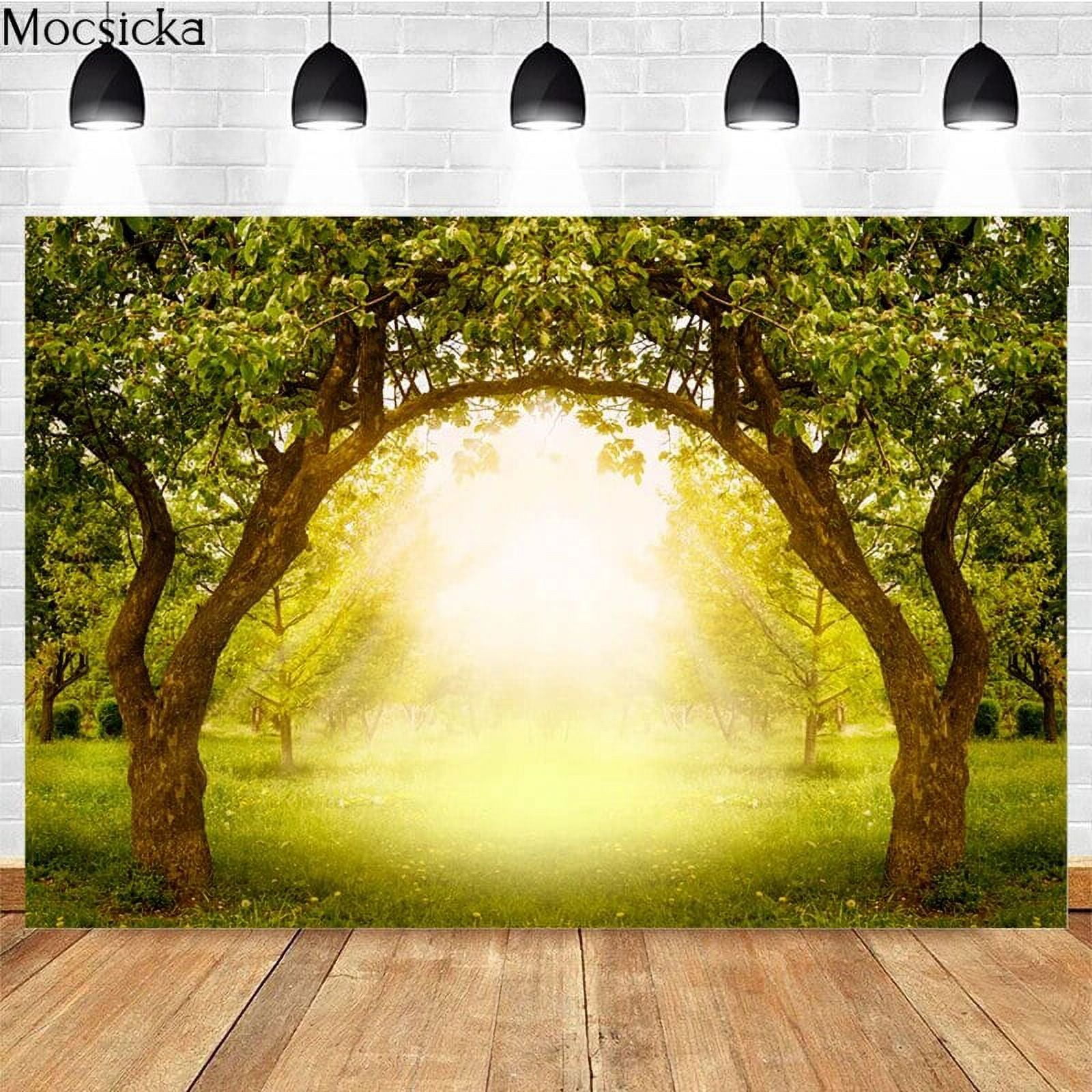 Spring Park Backdrops for Photography Sunshine Forest Kids Portrait ...