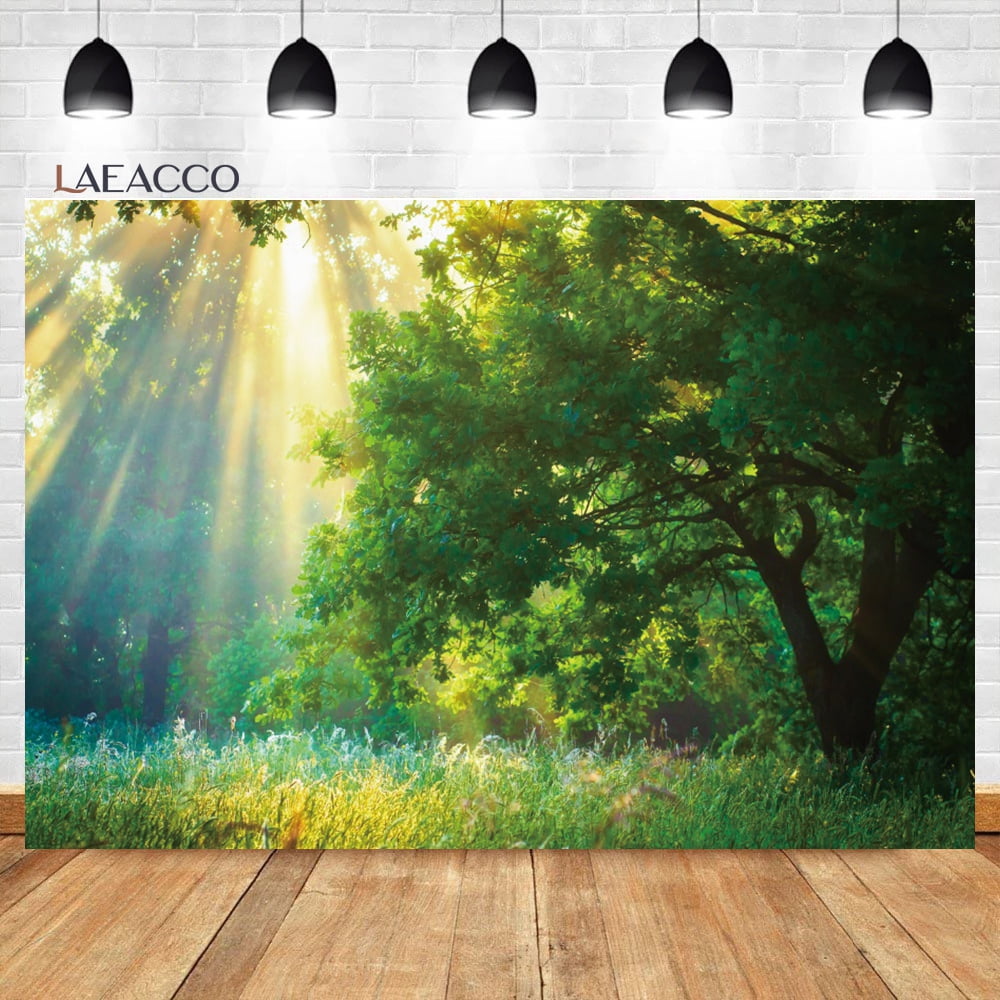 Spring Park Scenic Backdrop Garden Park Pink Floral Blossom Trees ...