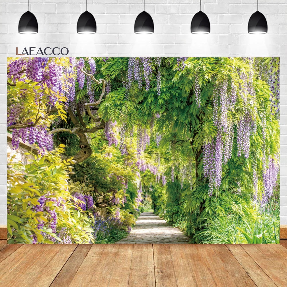 Spring Park Scenic Backdrop Garden Park Pink Floral Blossom Trees ...