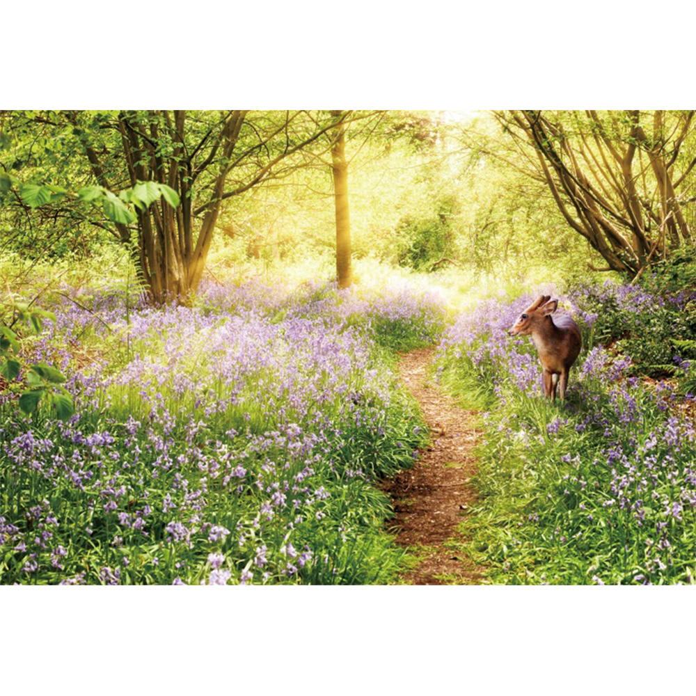 Spring Photo Backdrop Meadow Garden Grassland Park Flower Trees ...